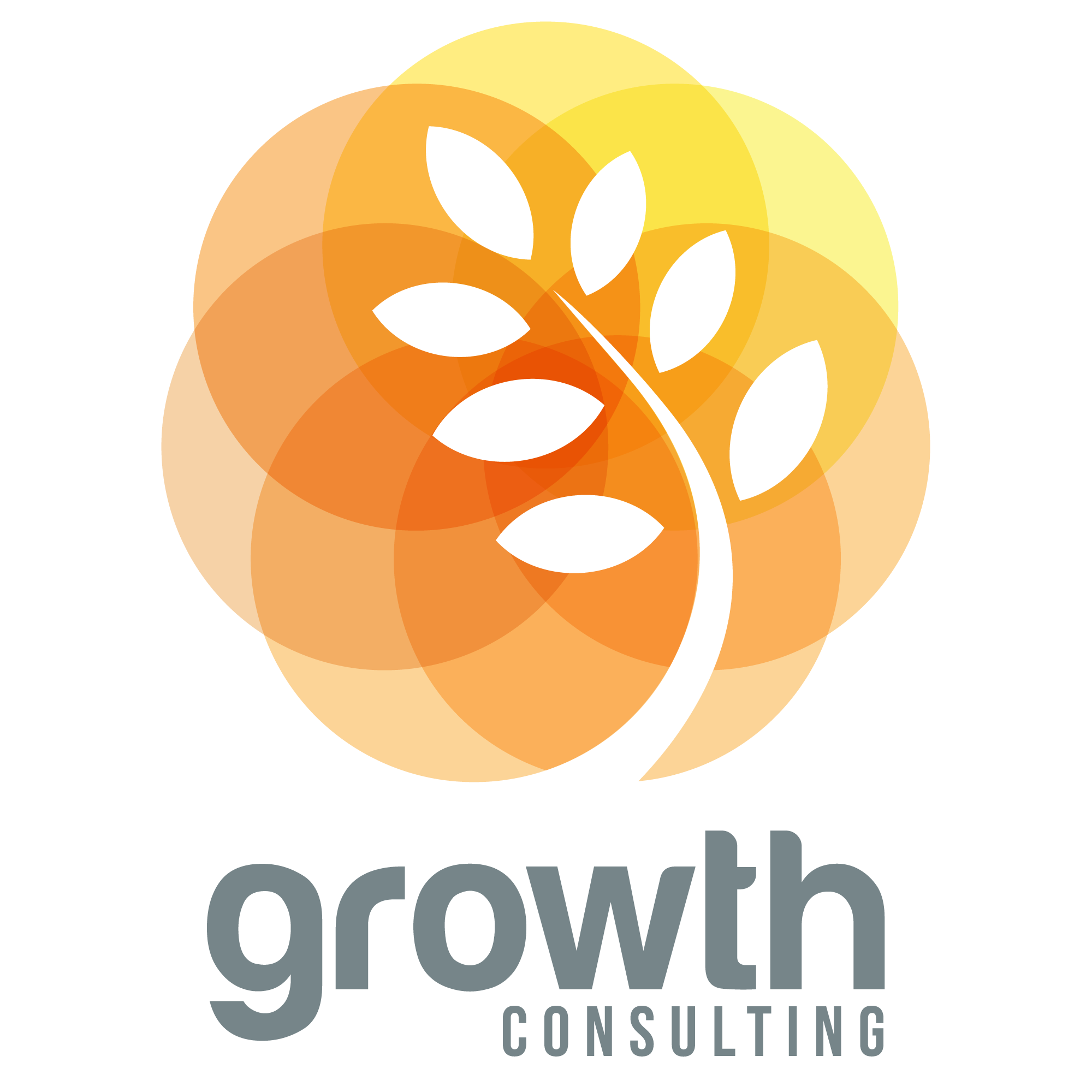 Home - Growth Consulting Services